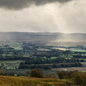 Lowland Single Malt Scotch Whisky - Whisky from the Lowlands